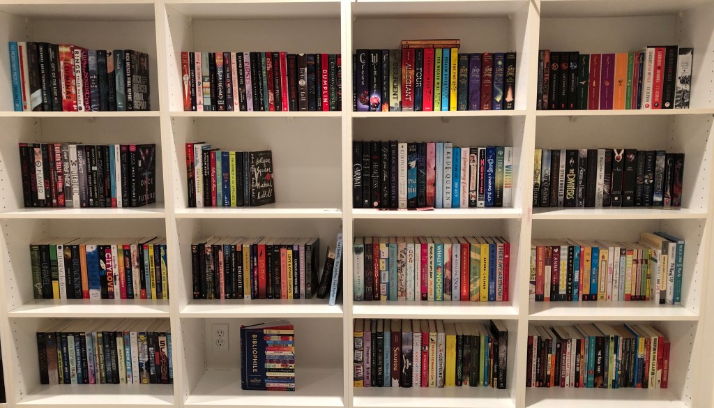 BOOKSHELF TOUR 2019! – Reading, Reading, Reading